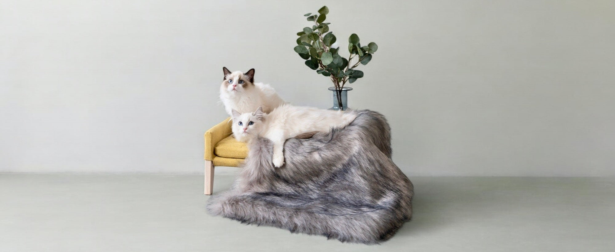 Sleep | Houses and Beds for Cats – Nala's Pet Furniture Boutique